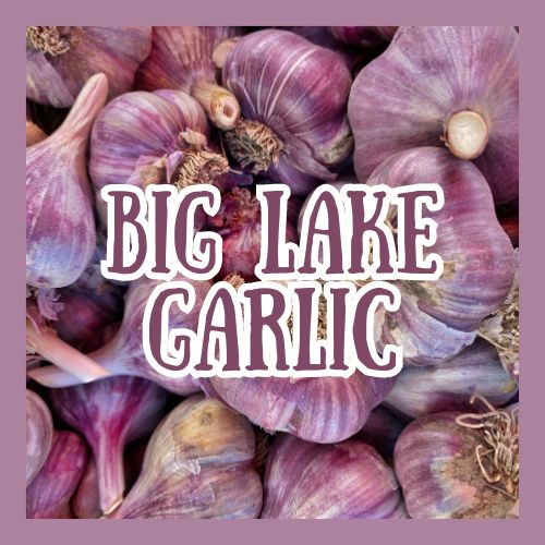 Our 2025 Vendors – Contact List – Williams Lake Farmers' Market